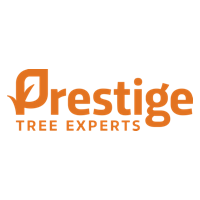 Prestige Tree Experts Login - Prestige Tree Experts